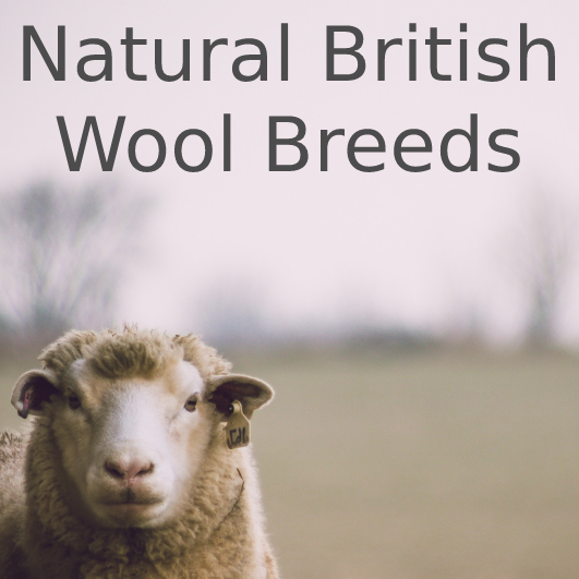 Wingham Wool Work - Felting wool, spinning fibres and equipment.