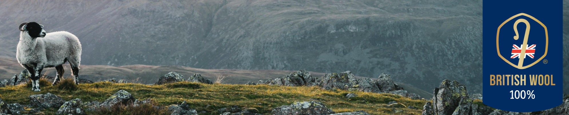 Wingham Wool Work - Felting wool, spinning fibres and equipment.